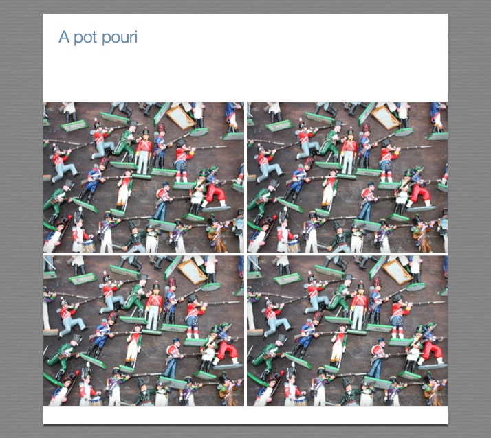 PhotosfromTrophypuics 7 | Treefrog Treasures