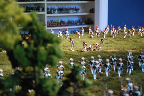 Picture 008 | Treefrog Treasures