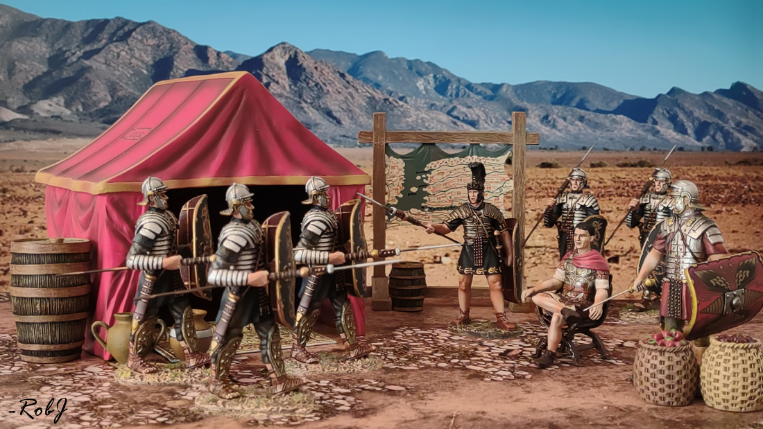 PT01 | Treefrog Treasures