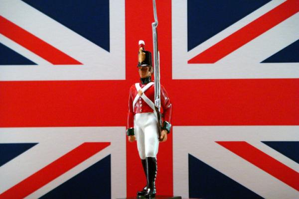 Pvt., Battalion Co., 49th Foot | Treefrog Treasures