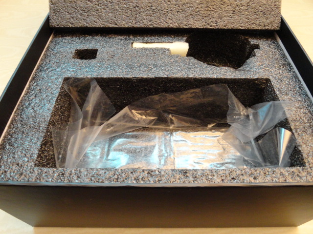 R05 | Treefrog Treasures