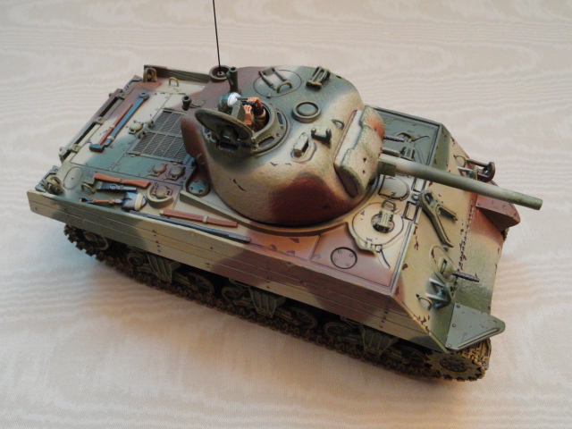 R06 | Treefrog Treasures