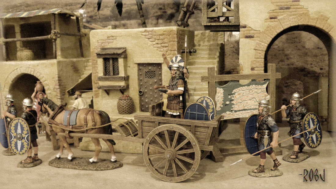 RA02e | Treefrog Treasures