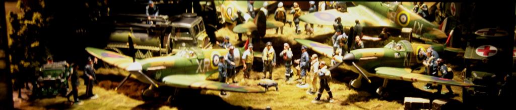 RAF Main (Large) | Treefrog Treasures