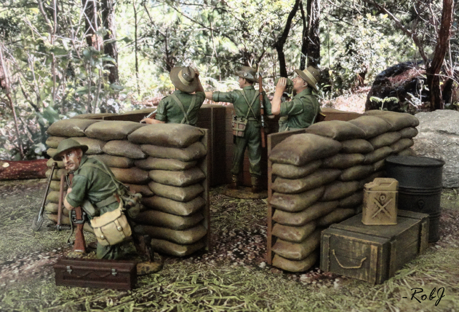 SB03 | Treefrog Treasures