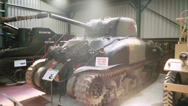 Sherman 2 | Treefrog Treasures