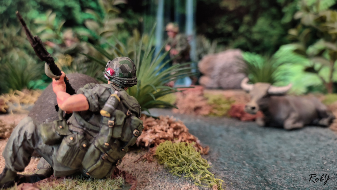 SN03 | Treefrog Treasures