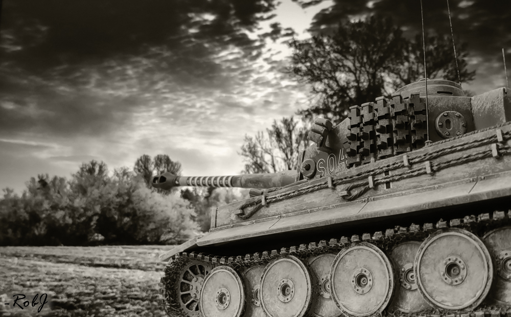 ST01 | Treefrog Treasures