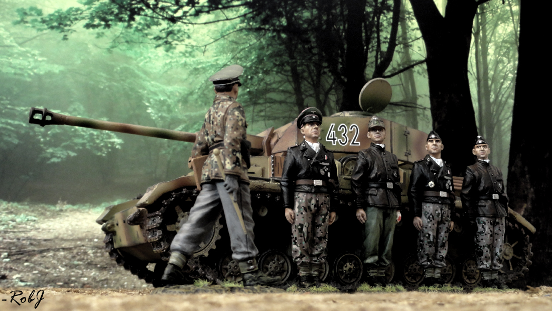 T02 | Treefrog Treasures