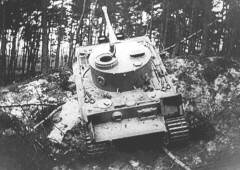 Tank Museum Photo No. 2395 D 1 | Treefrog Treasures