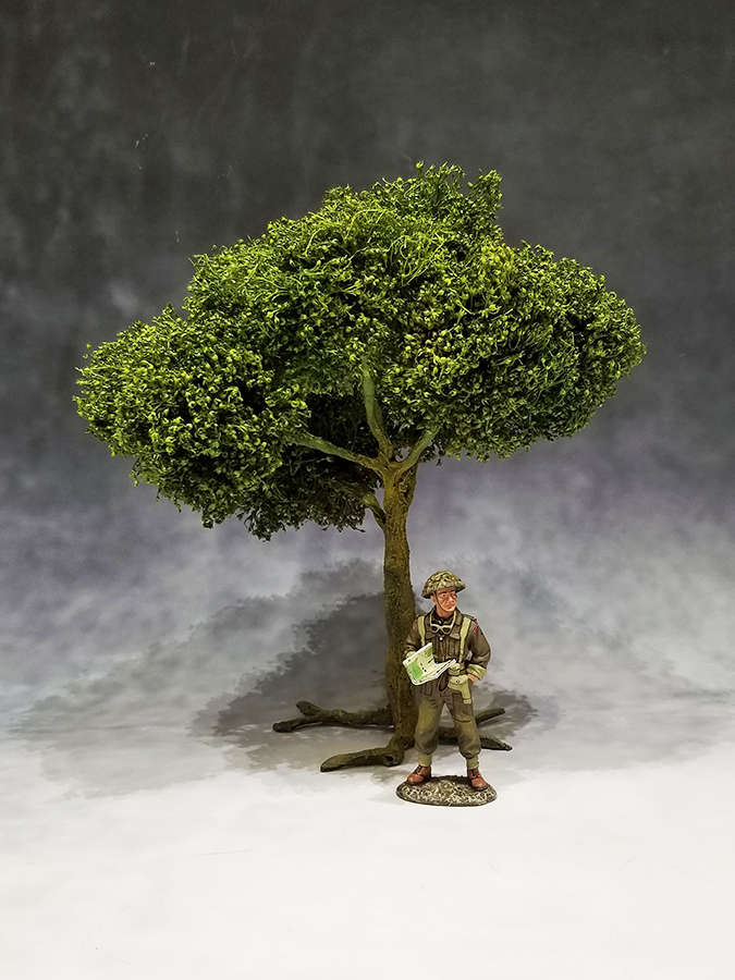 tre004 5 | Treefrog Treasures