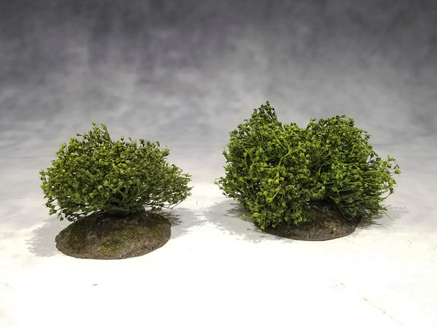 TRE014 001 | Treefrog Treasures