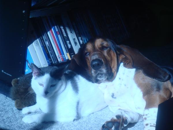 What a rough life !! | Treefrog Treasures