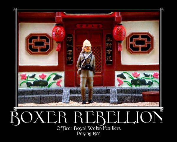 Wilson Edward Boxer Rebellion Series | Treefrog Treasures